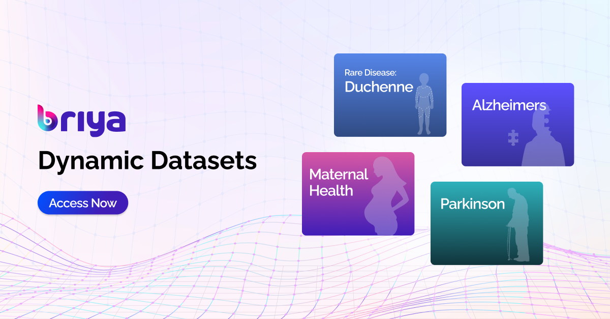 Dynamic Datasets - Briya